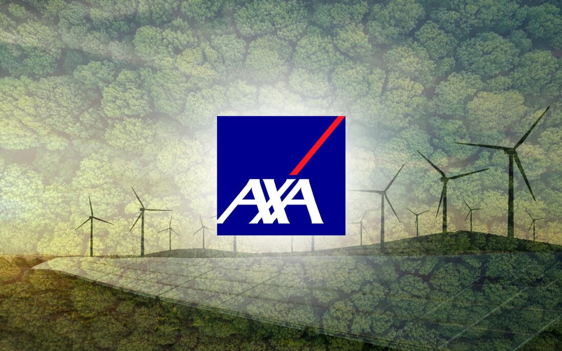 AXA Insurance - Hilal Technology