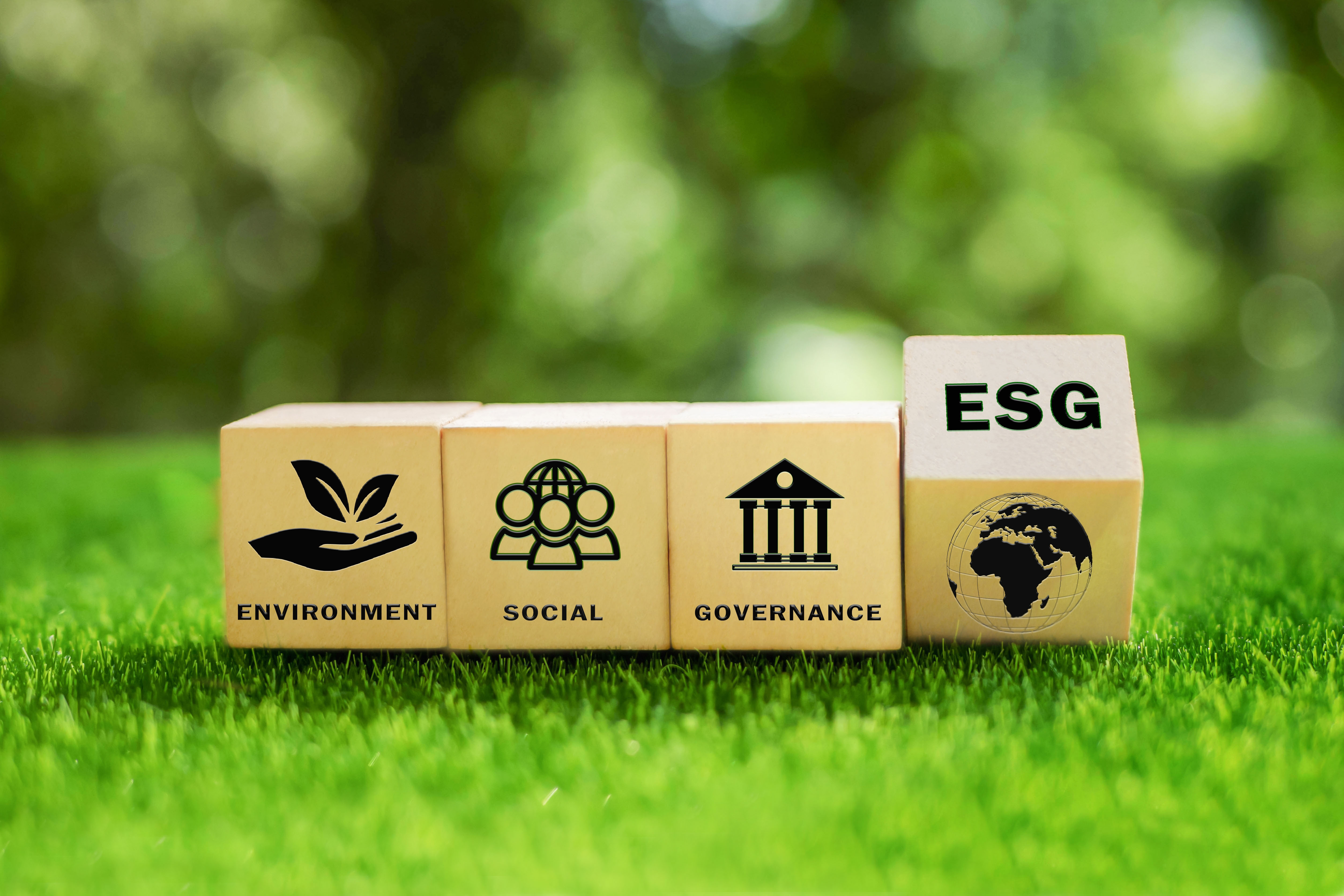 Hilal Technology: Empowering your sustainable journey with IBM Envizi ...
